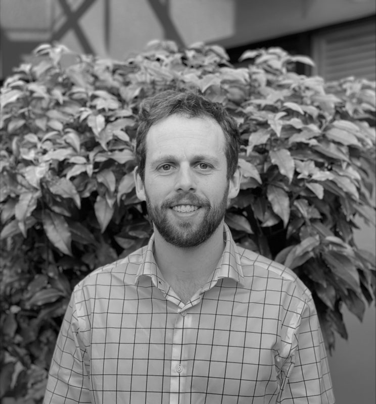 Andrew Body - Vitruvius